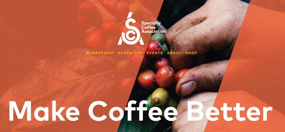 SCA - Specialty Coffee Association - Bonner Kaffeeschule